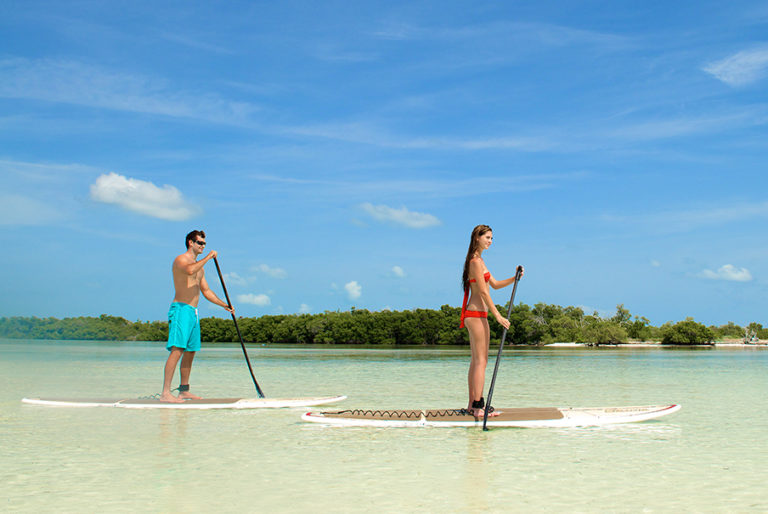 Must-Do Activities in Key West for Adventure Lovers